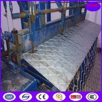 China 50x50mm galvanized chain link fence for sale