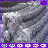 China 50x50mm galvanized chain link fence for sale