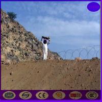 China High Quality Security Single CBT-65 Iron Razor Barb Wire for Sale for sale