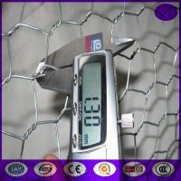 China Galvanized Chicken Wire mesh roll  for animals housing for sale