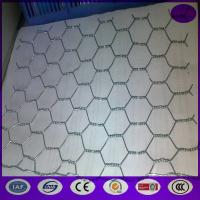 China Galvanized Chicken Wire mesh roll  for animals housing for sale