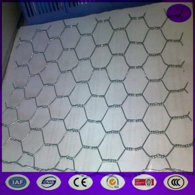 China Heavy zinc coating 200g /m2 economical chicken plastic coated wire mesh for sale