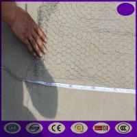 China Galvanized Chicken Wire mesh roll  for animals housing for sale
