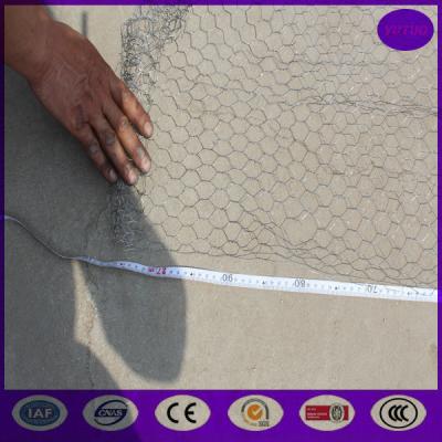 China Rabbit Netting - hexagonal mesh hole 32mm , height : 1050mm for sale