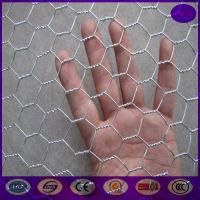 China Rabbit Netting - hexagonal mesh hole 32mm , height : 1050mm for sale