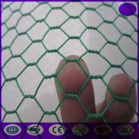 China Decorative chicken wire mesh anti-corrosion vinyl coated 48