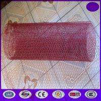 China Decorative chicken wire mesh anti-corrosion vinyl coated 48