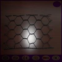 China Decorative chicken wire mesh anti-corrosion vinyl coated 48