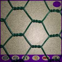 China Plastic coating chicken wire mesh / wire netting fence 20 gauge for landscape for sale