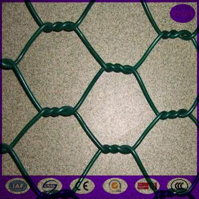 China 25MM Green PVC caoted Garden Hexagonal Chicken Wire Mesh Fence with 36
