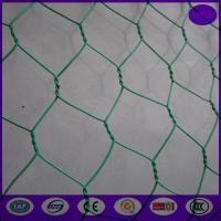 China Plastic coating chicken wire mesh / wire netting fence 20 gauge for landscape for sale