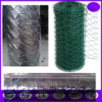 China Plastic coating chicken wire mesh / wire netting fence 20 gauge for landscape for sale