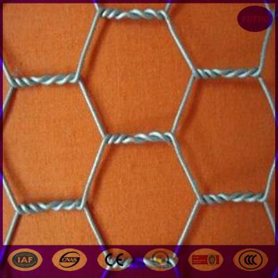 China 2 Inch woven Chicken Wire Mesh Stainless Steel For Garden / Poultry for sale