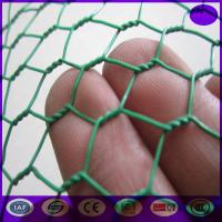 China Green Carbon Steel Chicken Wire Mesh Fencing Electric Poultrynetting from China for sale