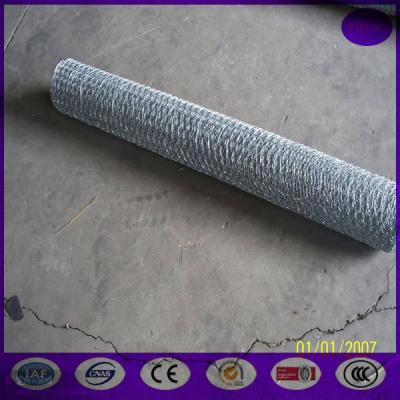 China 10M x 500mm 25mm Galvanised Chicken Rabbit Wire Mesh Garden Fence for sale