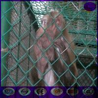 China Plastic/ vinyl coated chain link fence China for sale