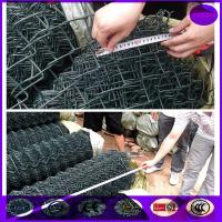 China 50*50mm opening  pvc coating 15m roll length Chain link Fencing for sale