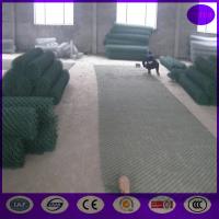 China 15 Years Warranty pvc coated Chain Link Fence for sale