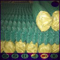 China 15 Years Warranty pvc coated Chain Link Fence for sale