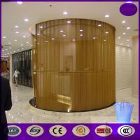 China Aluminum chain door fly screen/chain link type door csreen curtain made in china for sale