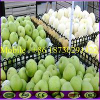 China China L-Shaped Cold -Rolled Shelf Divider used in Supermarket for sale