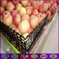 China Supermarket Divider Shelf for Fruit and Vegetabes Made in China for sale
