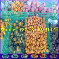 China Supermarket Wall Shelving for Fruit and Vegetables Made in China for sale