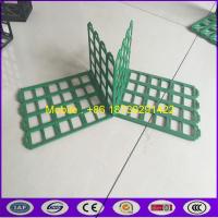 China China ABS Green Color Fruit Super Market Fence with Good Price for sale