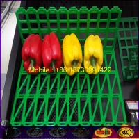 China China Green Color  PP Fruit Super Market Fence with Good Price for sale
