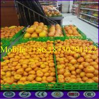 China China Green Color  PP Fruit Super Market Fence with Good Price for sale