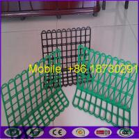 China China Green Mild Steel Color Fruit Super Market Fence with Good Price for sale