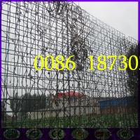 China 3D EPS Mesh Wall Panel for sale
