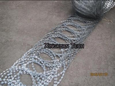 China Concertina Razor Barbed Wire 450mm Coil Diameter flat wrap for fence top for sale