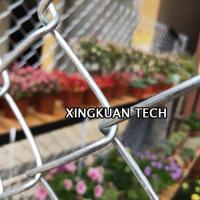 China 6 ft High Galvanized Wire Mesh Rolls for Fence 30mm 50mm 60mm Aperture for sale
