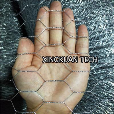 China Hot Dipped Chicken Wire Mesh Galvanized , Poultry Wire Netting 2.5m Width for sale