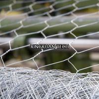 China 50mm 2'' Bird Cage Wire Mesh , Hot Dipped Galvanized Chicken Wire for sale