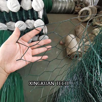 China PVC Vinyl Coated Chicken Wire Mesh , hexagonal wire netting 25MM Green Color for sale