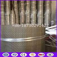 China RDW Woven SS Wire Cloth Filter Belts For Continuous Screen Changers made in china for Russia Market for sale