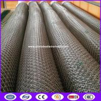 China stainless steel 2 inch Diamond cyclone fence for wildlife barriers made in china for sale