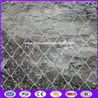 China Hot Dipped Galvanized Chain Link Fencing , Horse / Panda / Deer Farm Fencing for sale