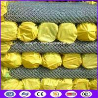 China Hot Dipped Galvanized Chain Link Fencing , Horse / Panda / Deer Farm Fencing for sale