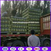 China Hot Dipped Galvanized Chain Link Fencing , Horse / Panda / Deer Farm Fencing for sale