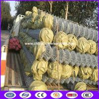 China Hot Dipped Galvanized Chain Link Fencing , Horse / Panda / Deer Farm Fencing for sale
