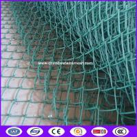 China PVC coated chain link fencing with RAL 6005 green colour for sale