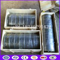 China Ladder Shape Conveyor Metal Mesh Belt made in China for sale