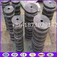 China Stainless Steel 304 316 Flat Flex Wire Mesh Belt made in China for sale