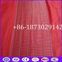 China Pizza Convey Ladder Belt On Machine made in China for sale