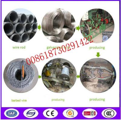 China Galvanized Babred Wire with Best quality in Chinba for sale