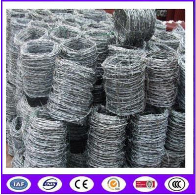 China Galvanized barbed wire coil 12x12 for sale