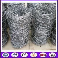 China Free Samples China Factory Direct Wholesales Hot Dipped Galvanized Barbed Wire for sale